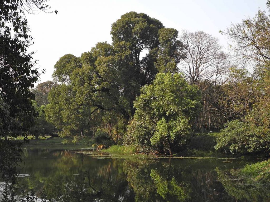 Largest And Oldest Botanical Garden In India | Fasci Garden